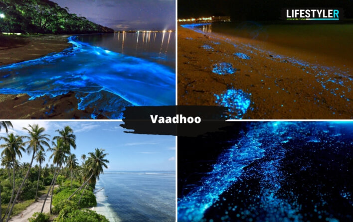 15 Najlepszych Atrakcji Turystycznych i Wysp Na Malediwach